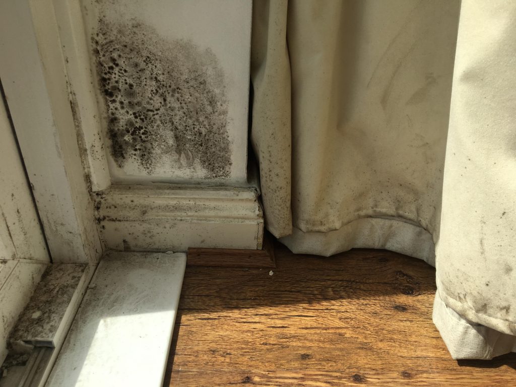 How to identify, fix and prevent damp issues in your house