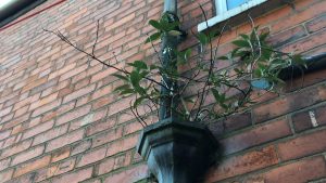 What Is Water Ingress? Protect Your Home from Damp | Peter Cox
