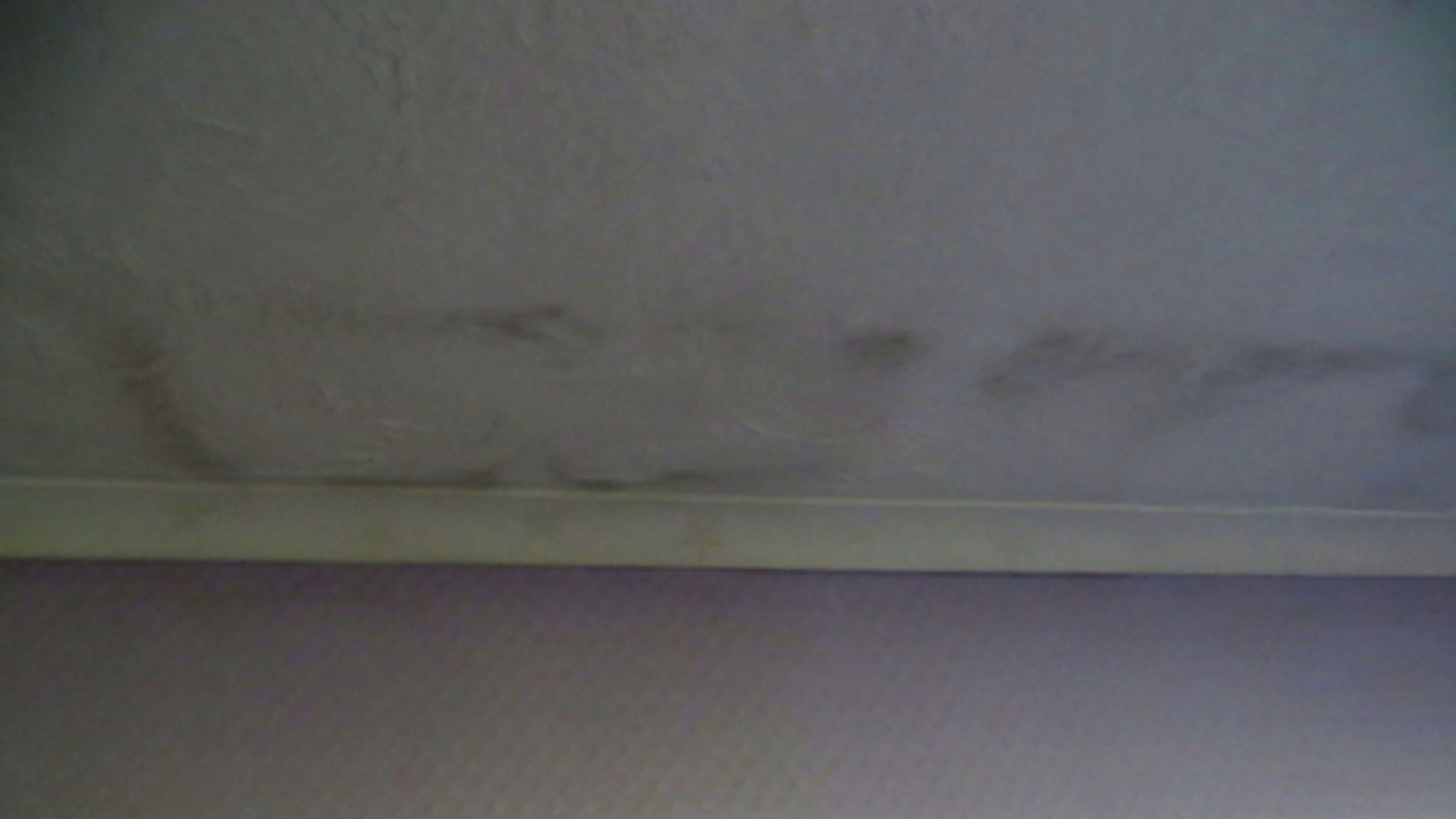 What Causes Wall and Ceiling Ghosting? | Peter Cox UK