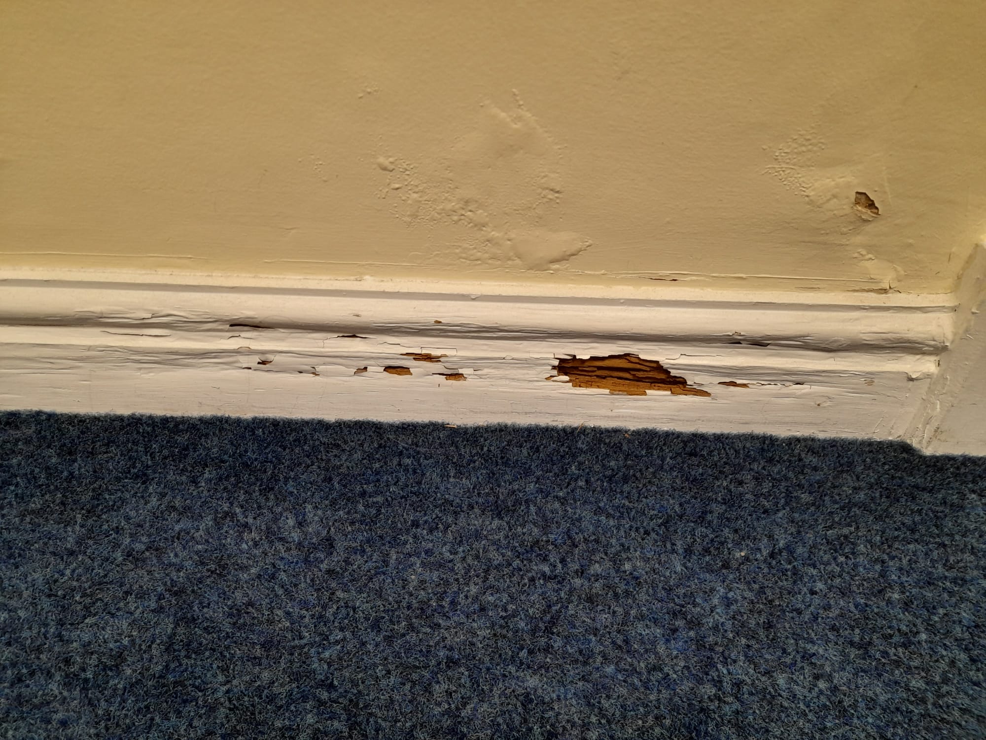 How to Identify and Treat Rotten and Damp Skirting Boards